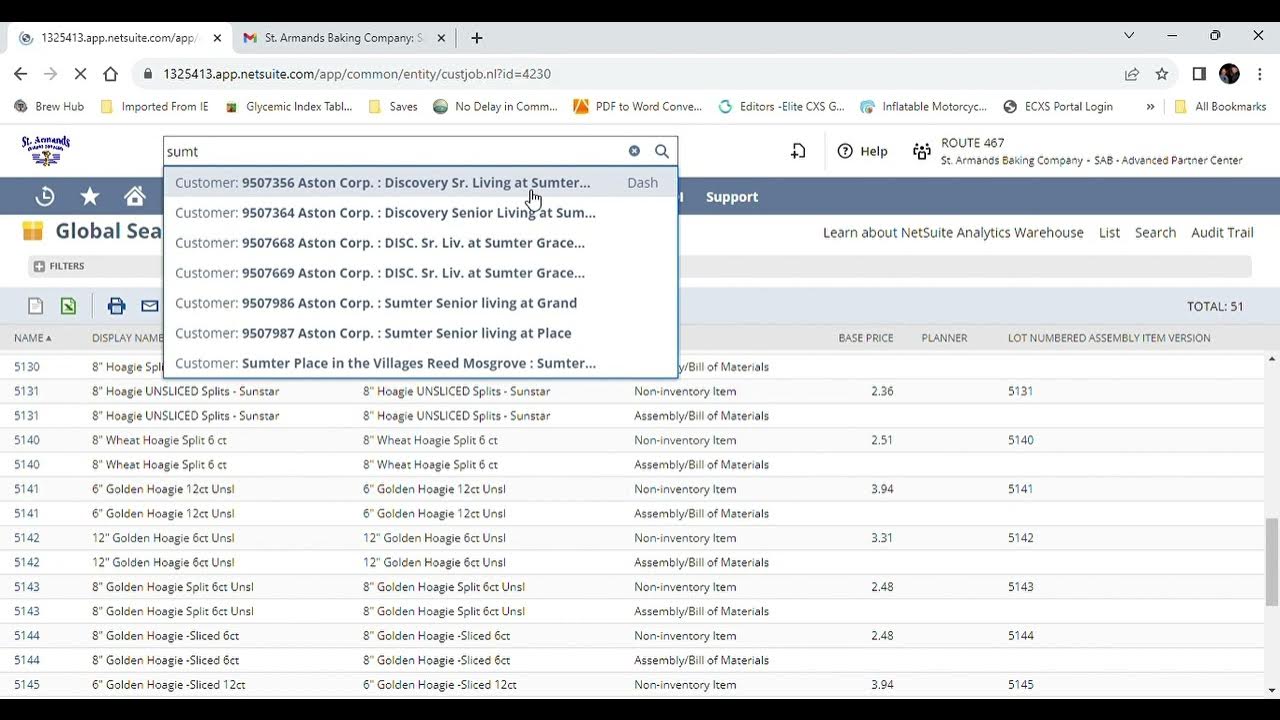 NetSuite Using the Search Bar - YouTube