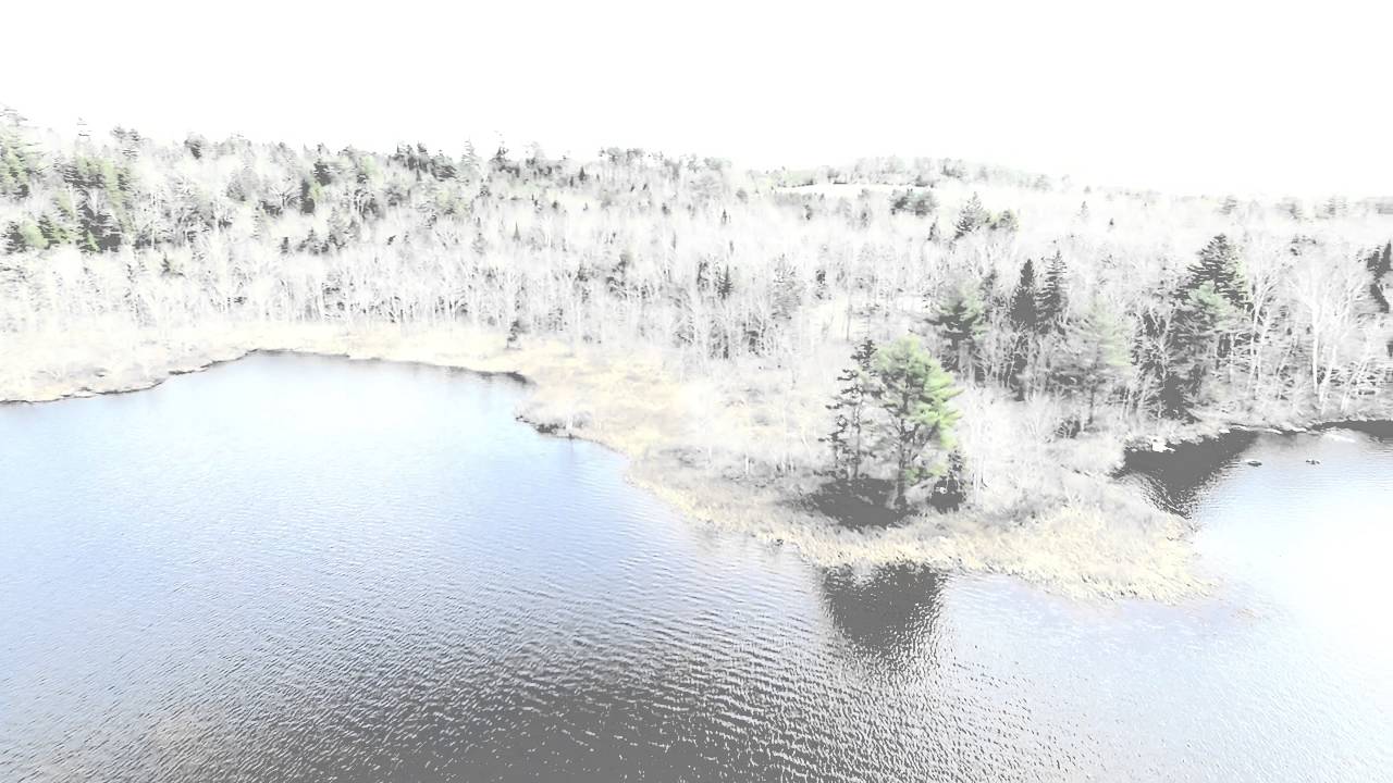 Mill Lake April 2016 Teil2 - YouTube