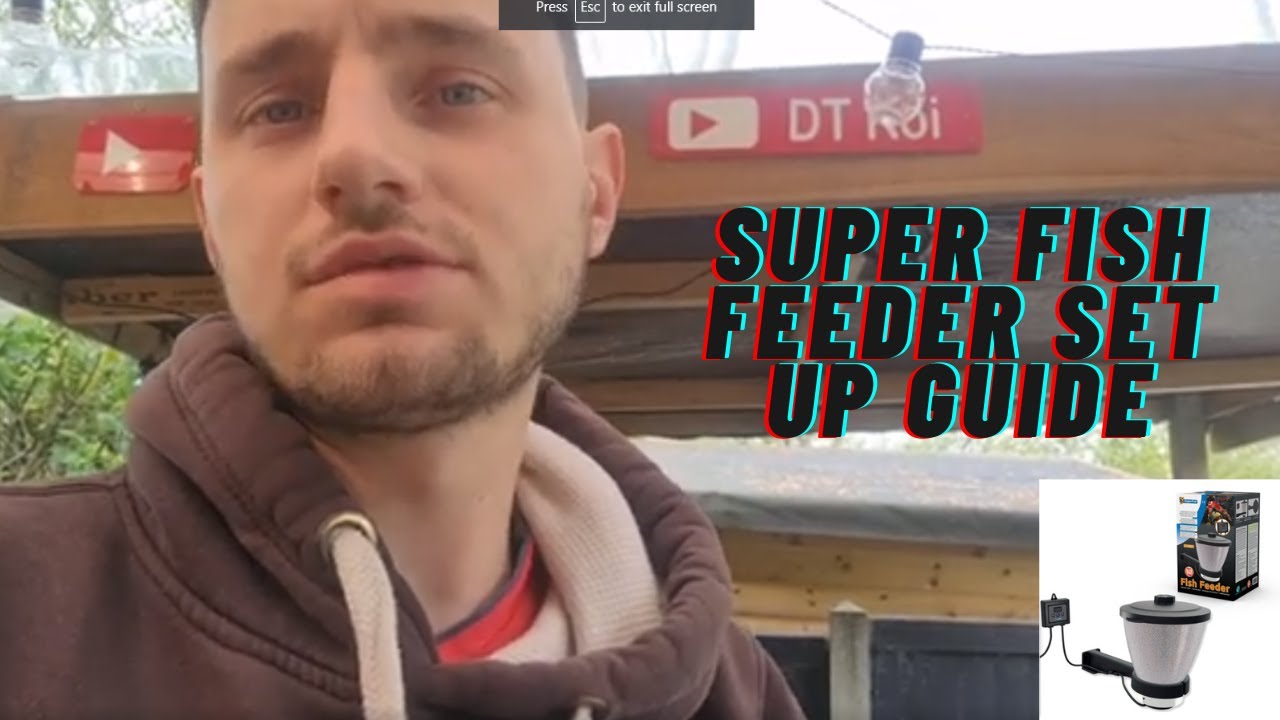 Upgrade Your Fish Feeding Game with This Super Feeder Setup - YouTube