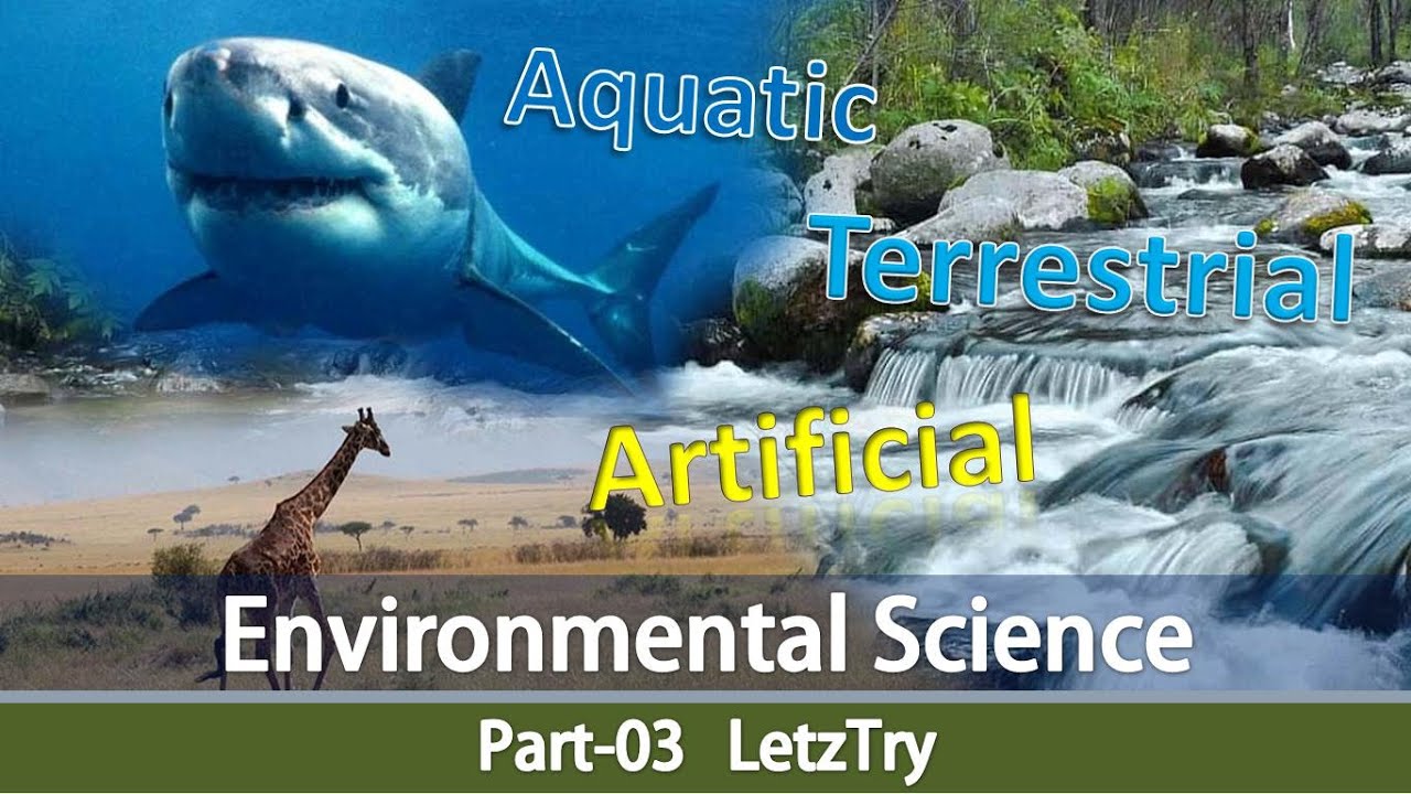 Environmental Science Part-03 | Types of Ecosystems | Terrestrial ...