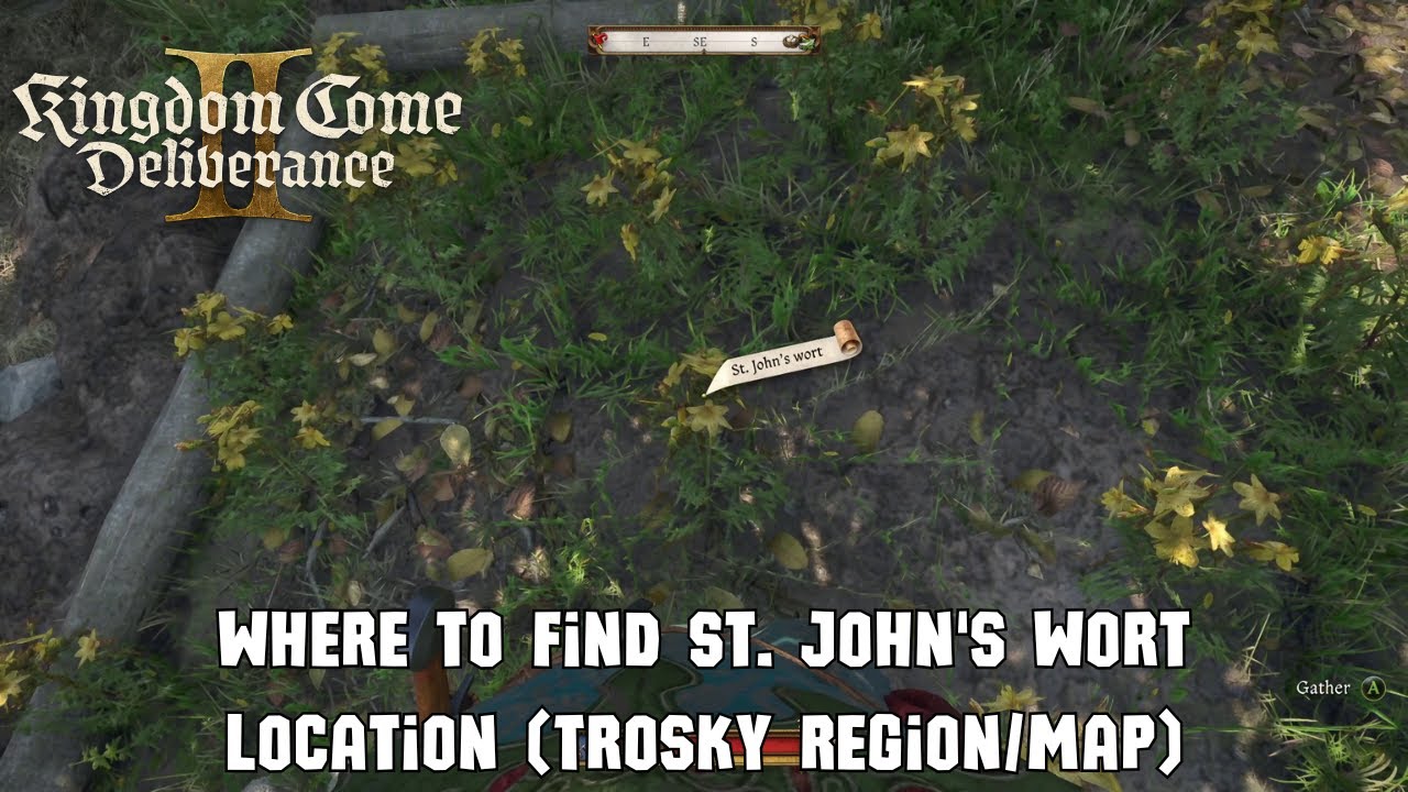 Where to Find St. John's Wort Location (Trosky Region/Map) in Kingdom ...