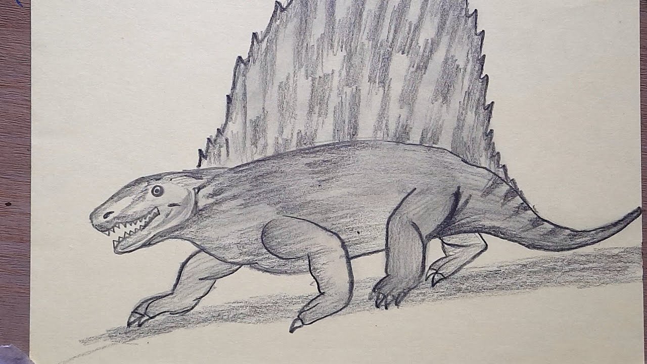 Dimetrodon drawing | Easy sketch | Dinosaur drawing - YouTube