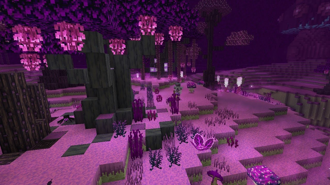 "Minecraft 1.22 NEW End Biome Update 🌌 | Insane Features Revealed ...