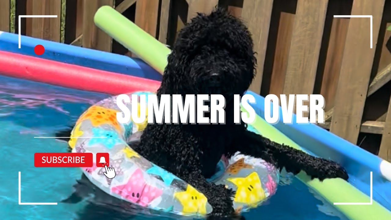 summer time is over! | A day in my life - YouTube