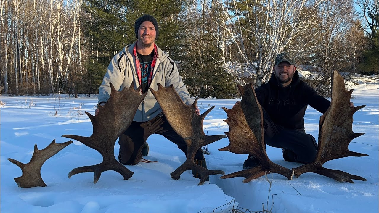 ⁠February 2024 Moose Shed Hunting Trip w @northwoodsmania5930 - YouTube