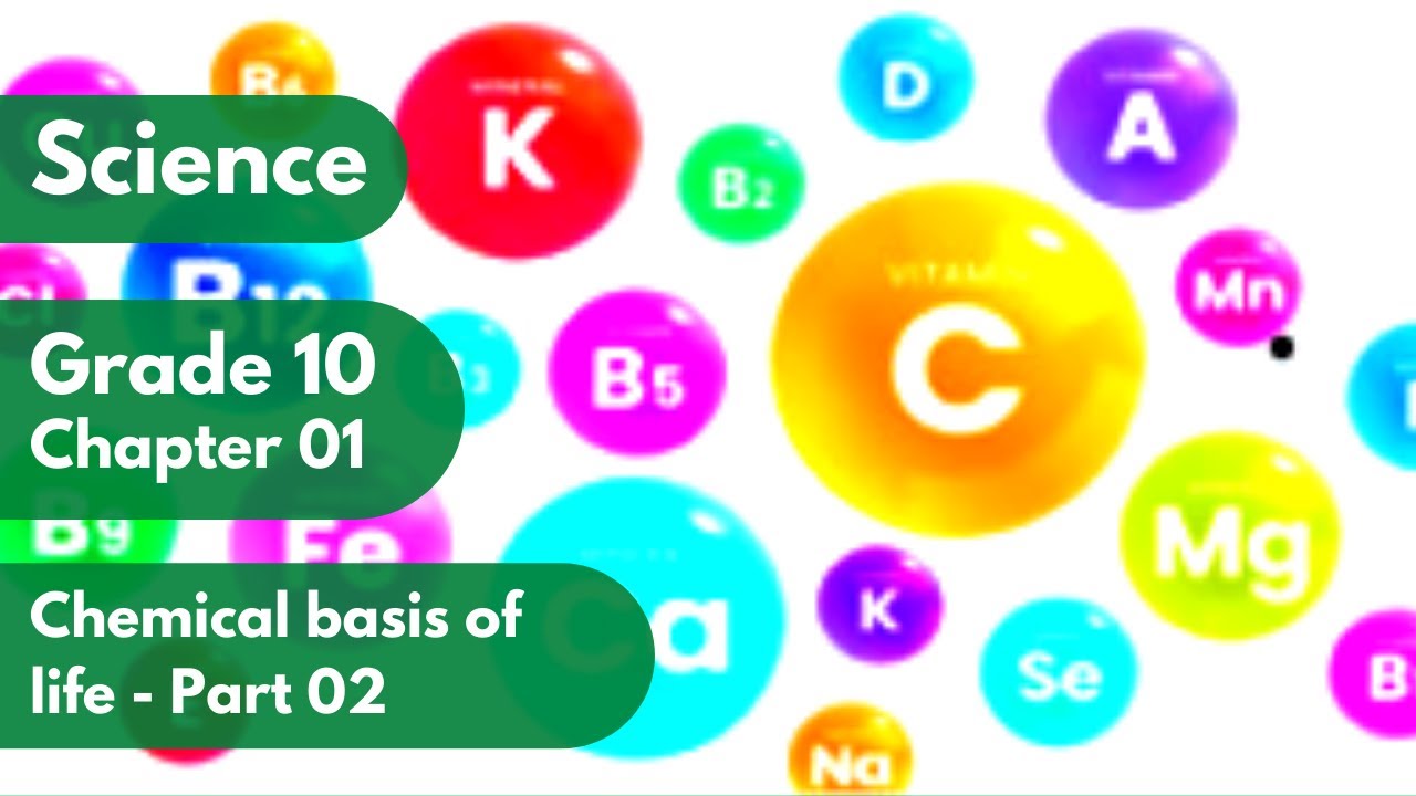 chemical basis of life | grade 10 science | unit 01 | Part 02 | MI ...