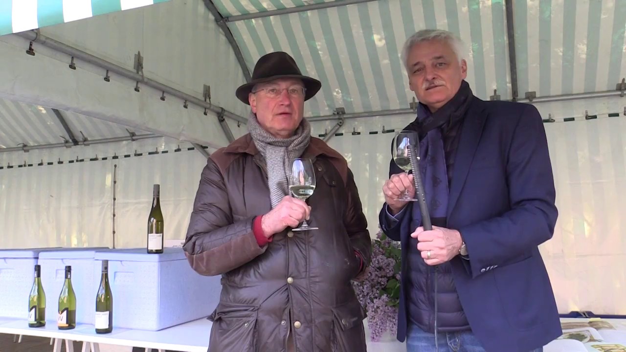 VIF - Wein des Monats Mai: 2015 Escherndorfer Silvaner, Weingut Rainer ...