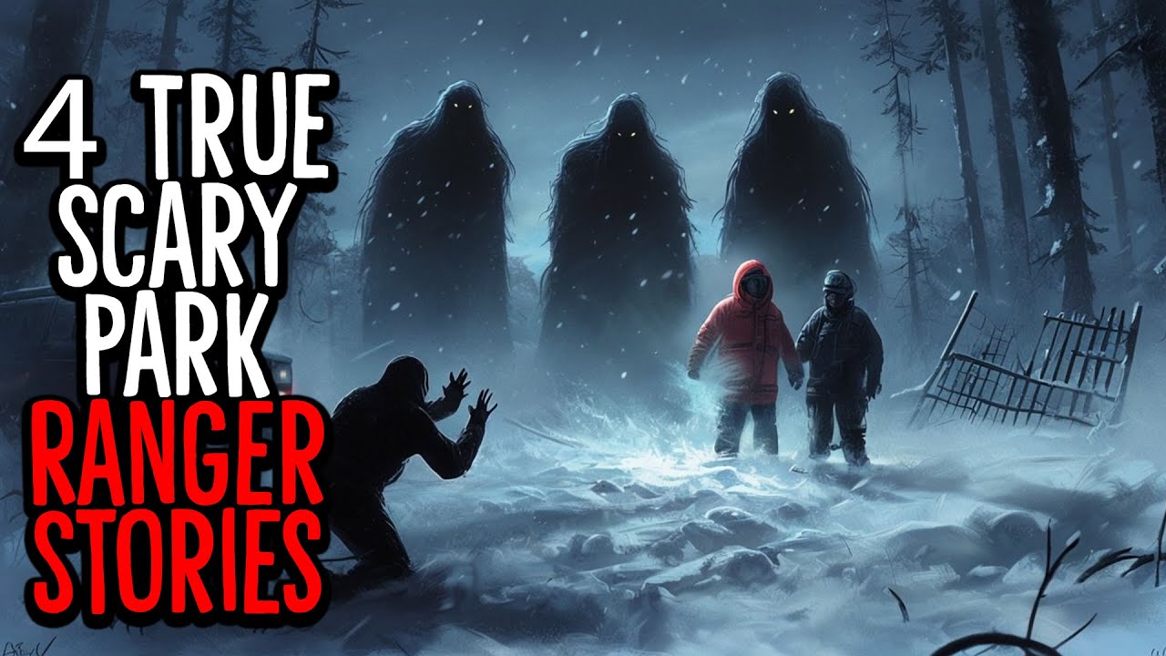 4 True Scary Park Ranger Stories for a Quiet Winter Night | Forest ...
