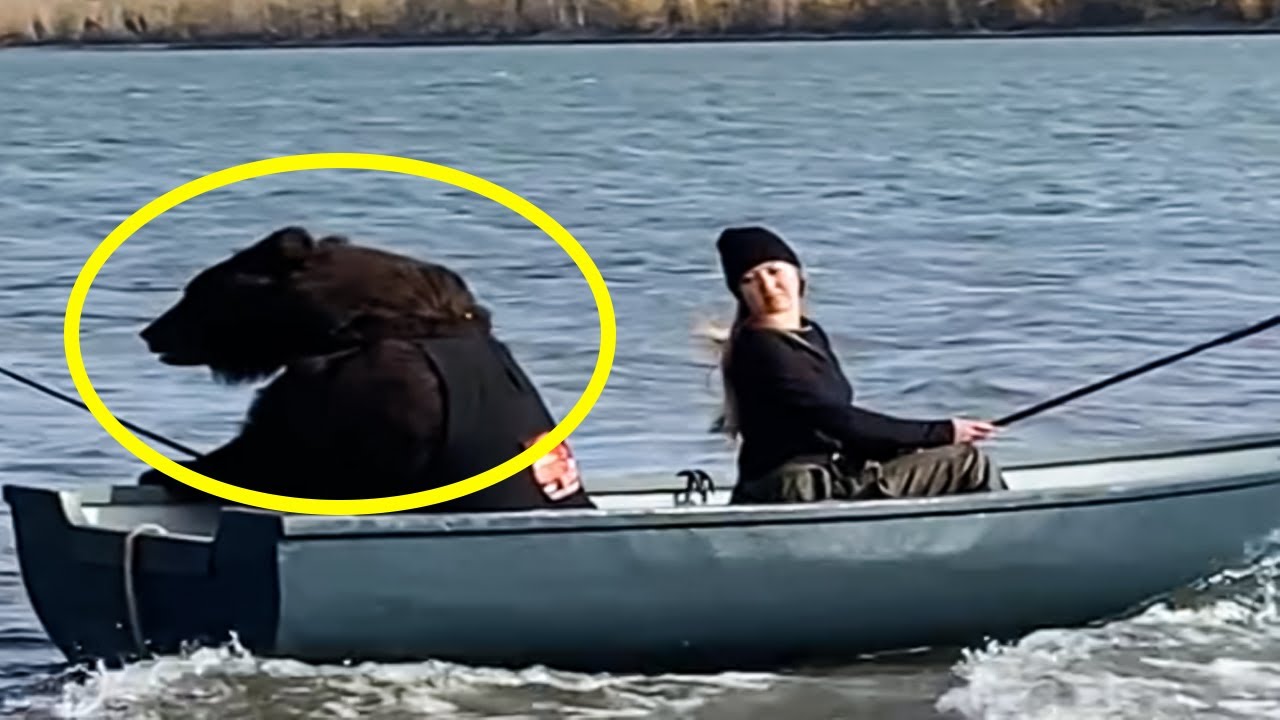 Archie the Brown Bear Loves Going Fishing With His Rescuer - YouTube