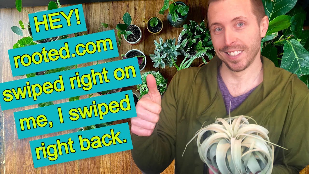 Instagram Recommended I order from Hey Rooted! - so I did (and you ...