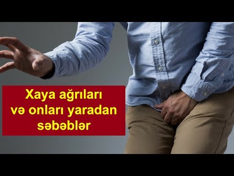 Kişi cinsi orqanlarının quruluşu və fəaliyyəti. Xaya ağrıları