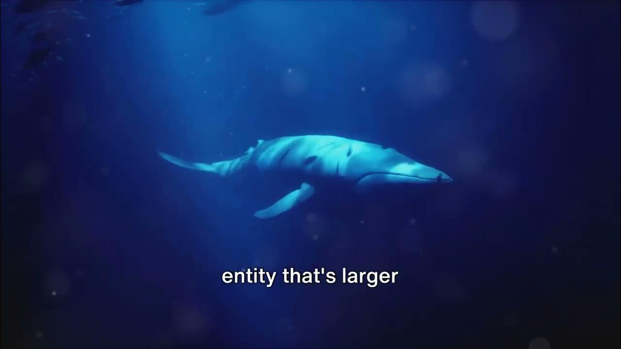 Gentle Giants of the Deep: A Breathtaking Encounter with Blue Whales ...