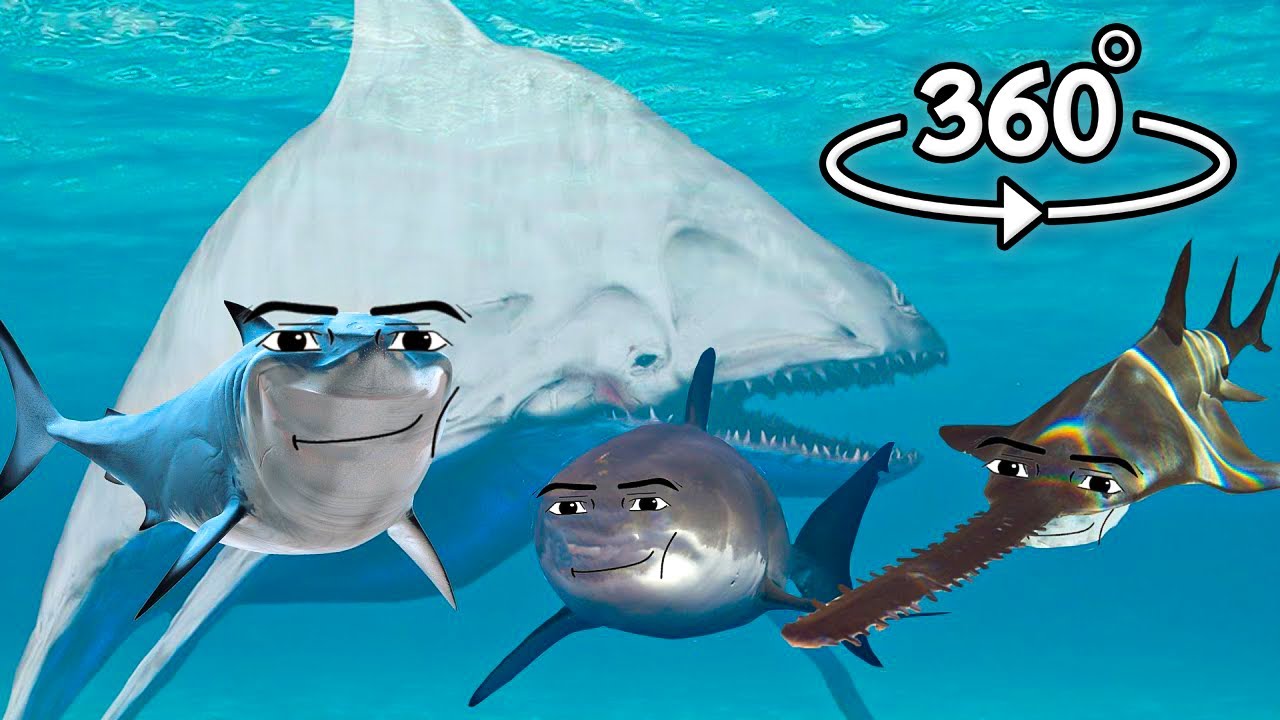 Shark Gegagedigedagedago 360° VR - YouTube