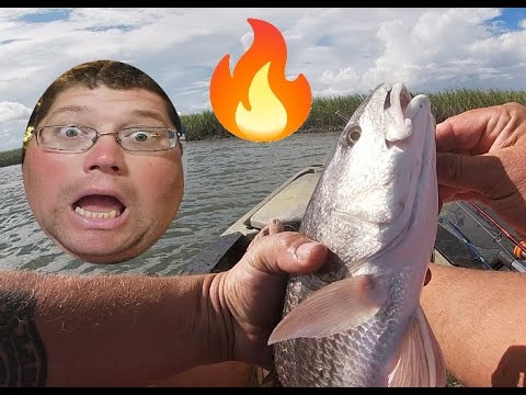 The Redfish bite was on fire!!!! Sullivan's Island SC - YouTube