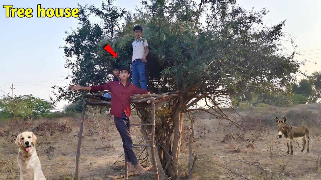 We Made a Real Tree House😱 पेड़ों के बीच बना शानदार ट्री हाउस। Tree ...