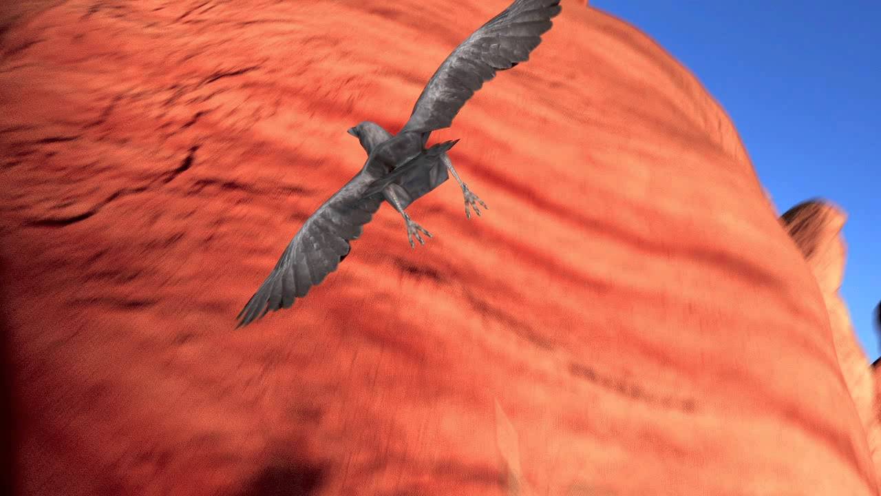 crow flight animation - YouTube