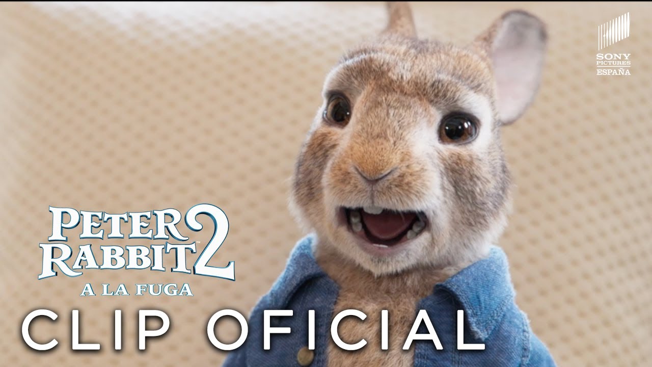 PETER RABBIT 2 - "Peter tiene una voz INSUFRIBLE" Clip en ESPAÑOL ...