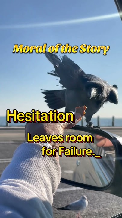 Take what's rightfully yours and LEAVE NO CRUMB - YouTube