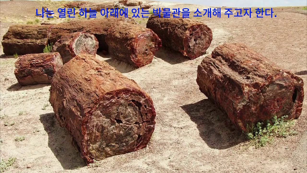 지구에 나무들이 없다(There are no forests on earth. 한글자막). - YouTube