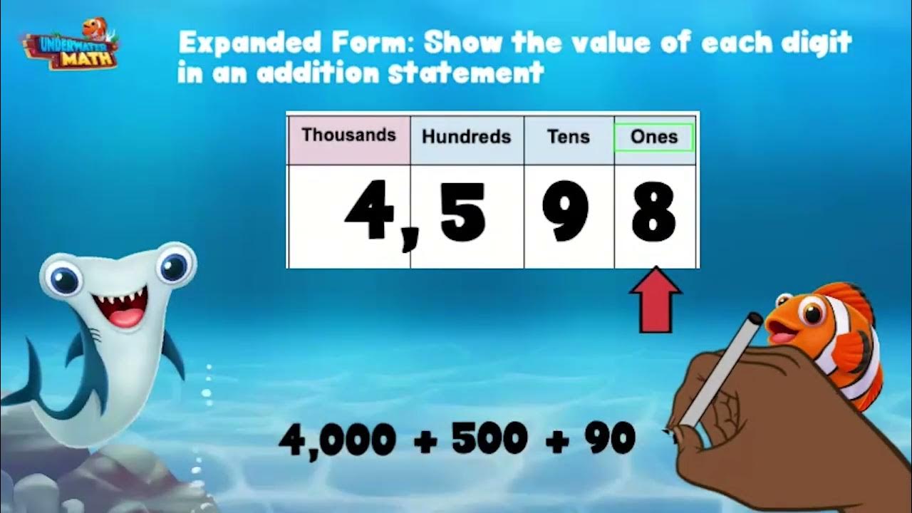 Skill Builder - Represent Whole Numbers and Decimals - 4th Grade - YouTube
