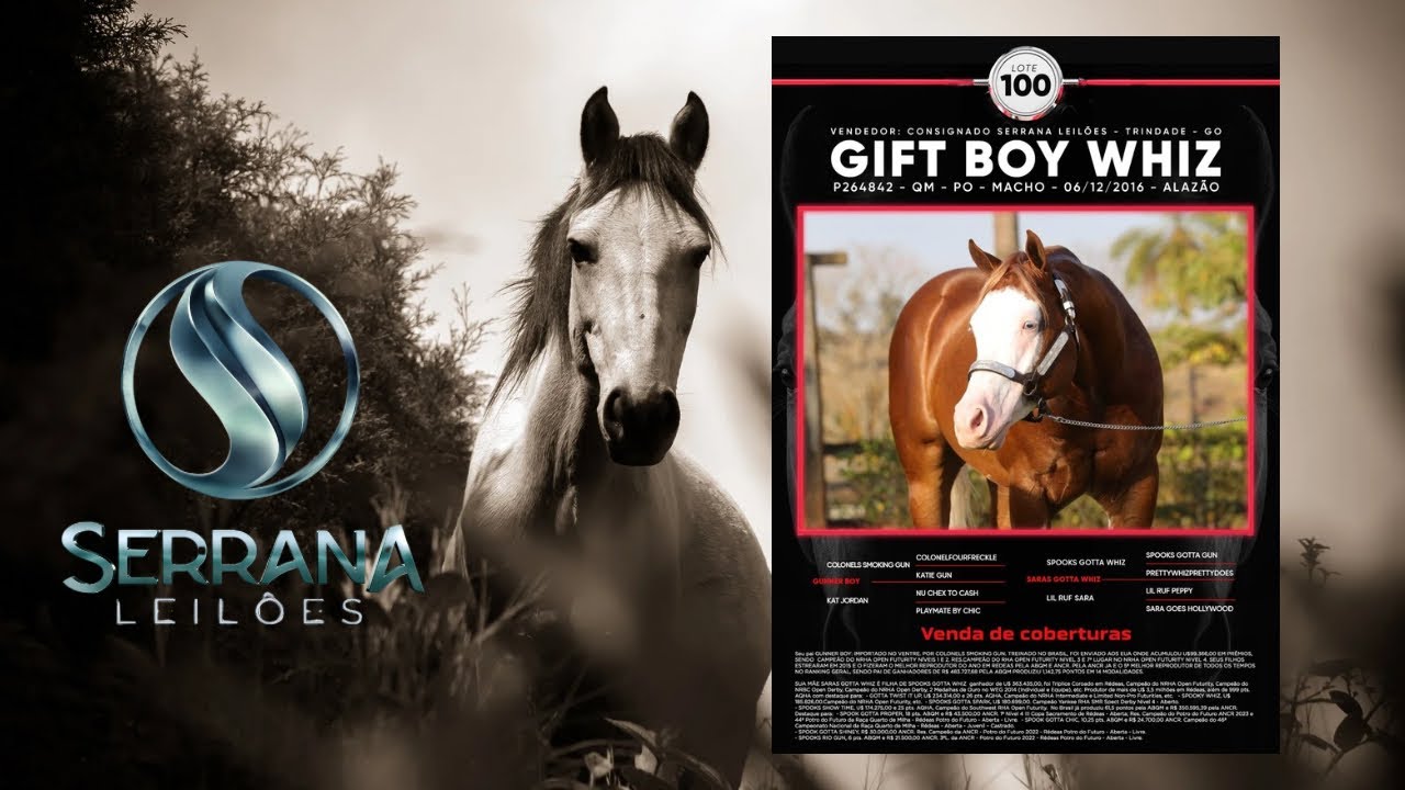 LOTE 100 - COBERTURA GIFT BOY WHIZ - YouTube