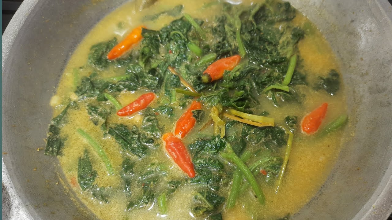 Resep gulai pucuk labu, ternyata gulai pucuk labu seenak ini lo bun ...