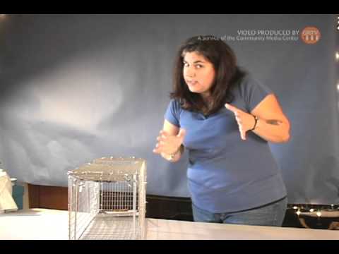 Carol's Ferals - TNR - How to Trap a Cat - YouTube