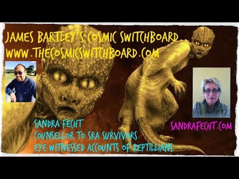Sandra Fecht SRA Survivors' Accounts of Reptilians 1/2 - YouTube