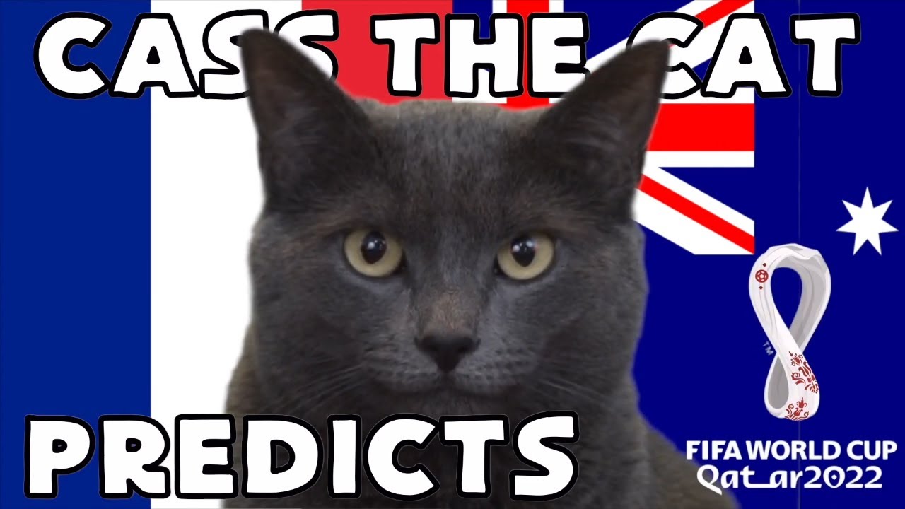 FRANCE 🆚 AUSTRALIA - CASS THE CAT PREDICTS - YouTube
