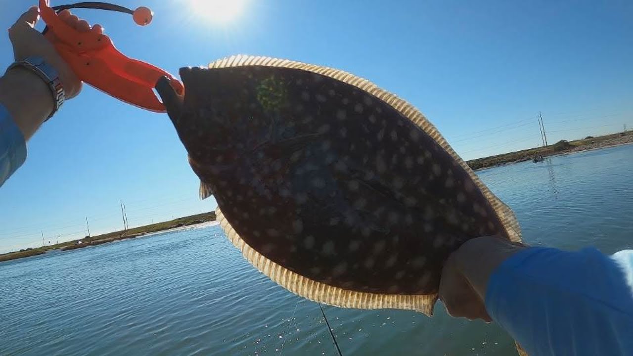 Texas Slam with a Doormat! Packery Channel, Corpus Christi Fishing ...