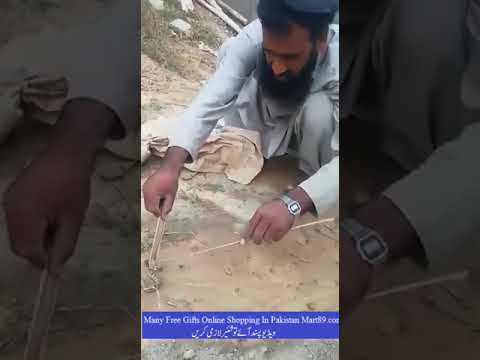 Pathan Bhai | Naswar | Or Snake | پٹھان کا تجربہ نسوار اور سانپ کے ساتھ  | By Aik Second