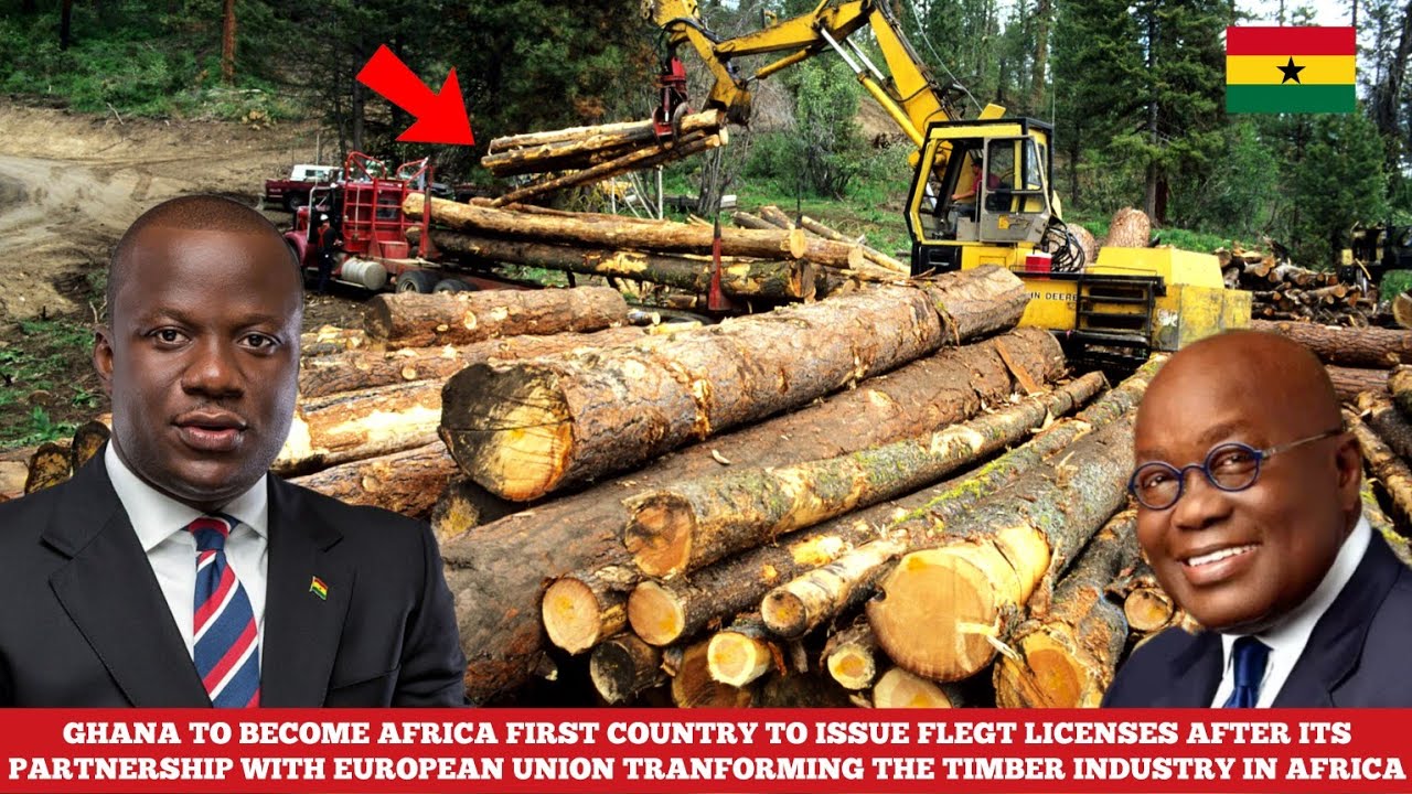 GHANA'S BILLION DOLLAR TIMBER INDUSTRY FINALLY TO BE REVOLUTIONIZE WITH ...