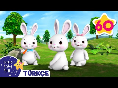 Sevimli Tavşanlar | Little Baby Bum Türkçe - Bebek Şarkıları ve Çizgi Filmler