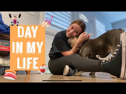 Day In My Life