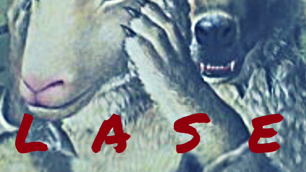 Freak Like me sample|Young Lase 2019 - YouTube