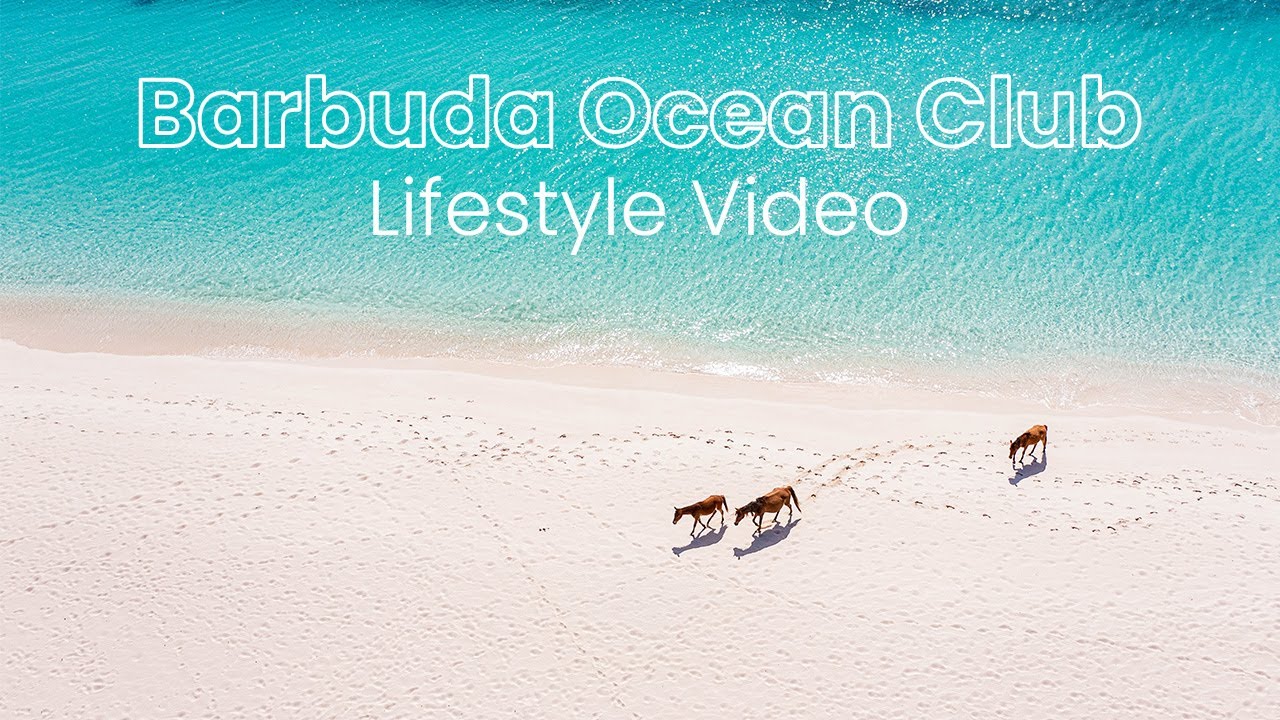 BARBUDA OCEAN CLUB|LIFESTYLE - YouTube