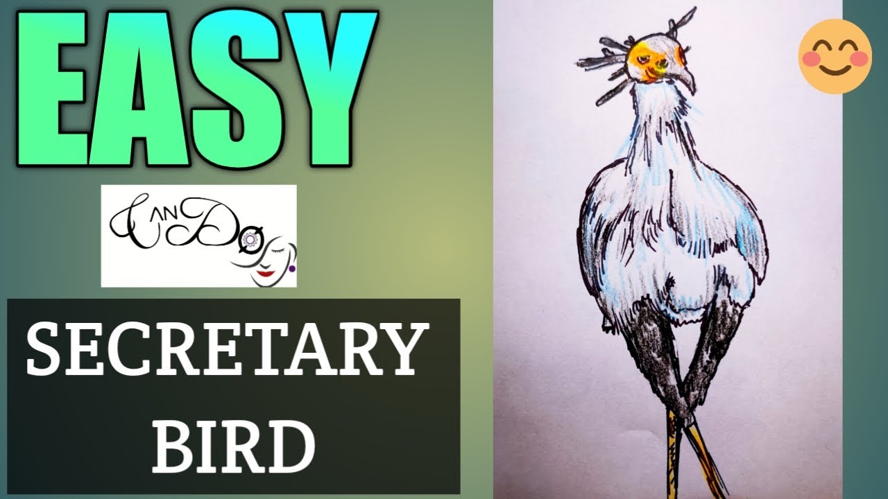How To Draw A Secretary Bird Step By Step For Beginners | Easy ...