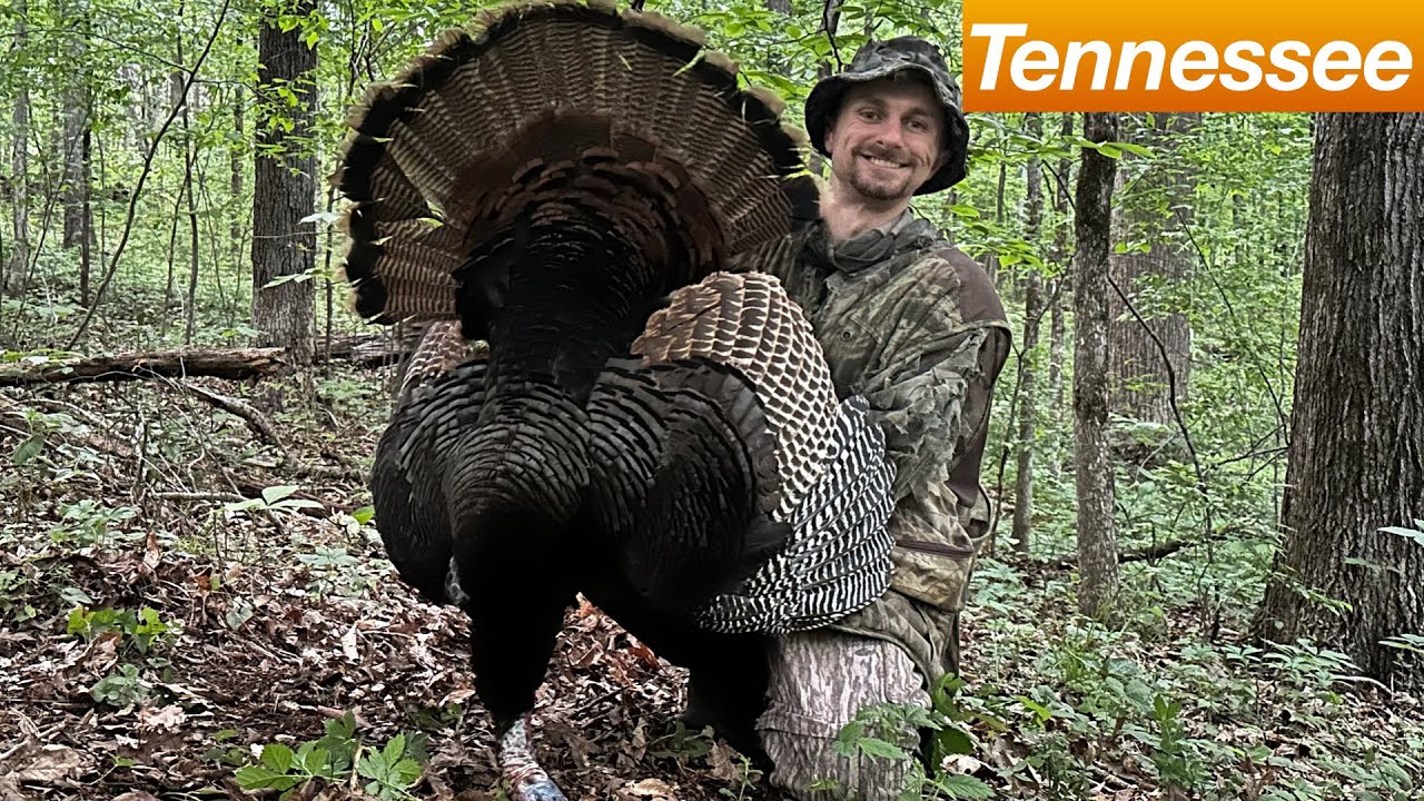 Last Tag Filled! Tennessee Public Land Turkey Hunt | End of Season ...