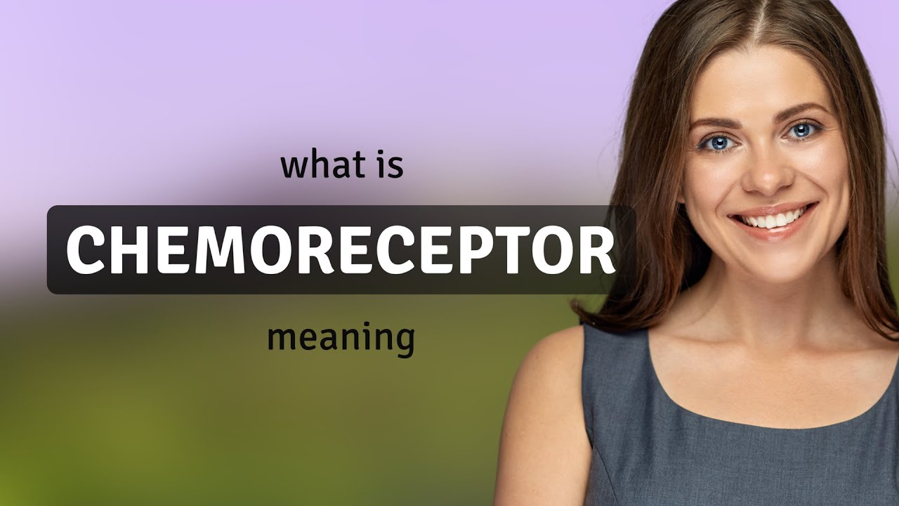 Chemoreceptor | meaning of CHEMORECEPTOR - YouTube