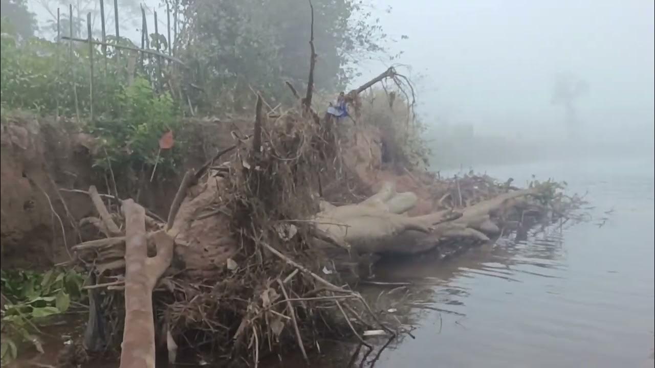 mus de zaub los ua tshai noj nawb - YouTube