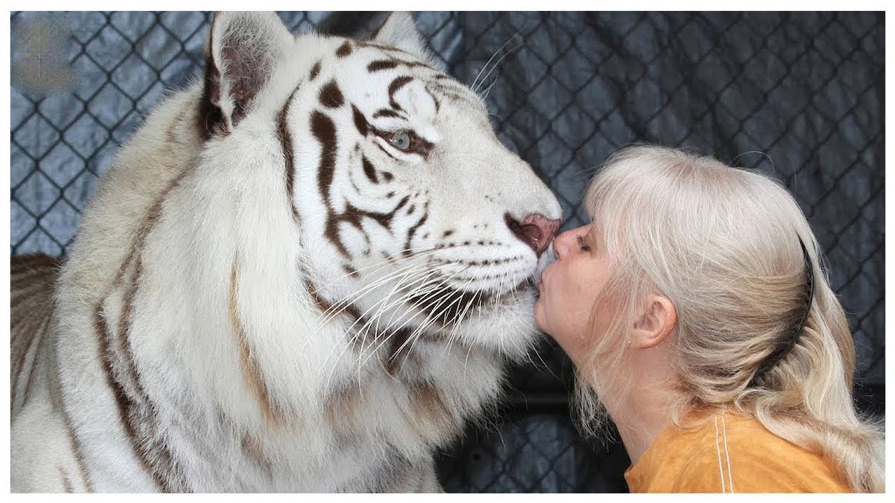 Animals Reunited With Owners | Animals Reunited With Their Owners After ...