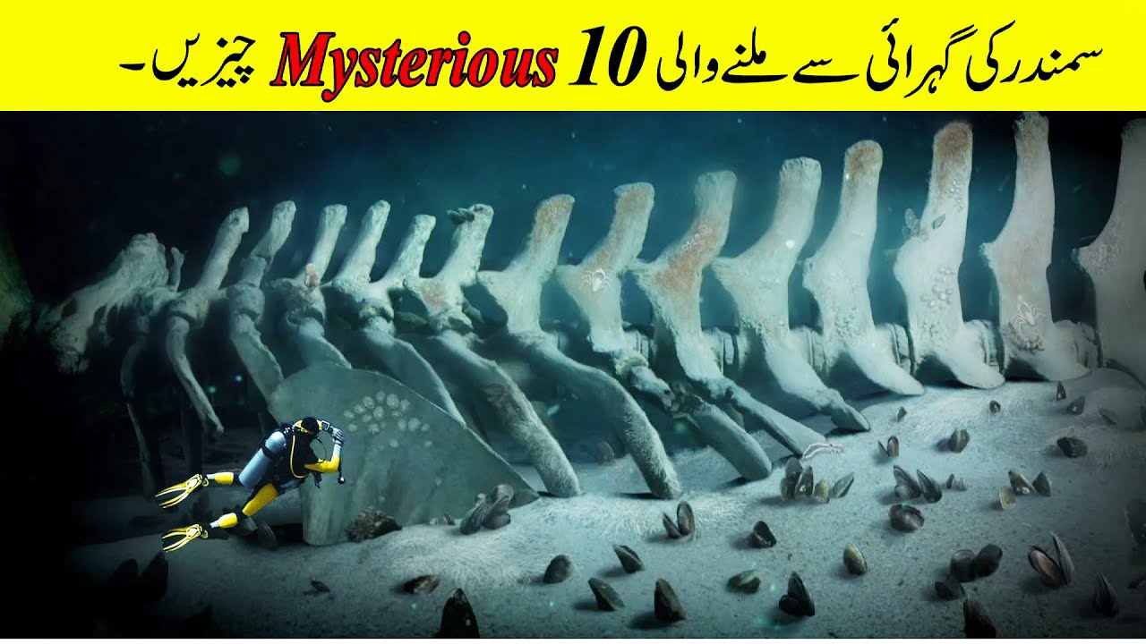 10 most unusual things found in the ocean || strange things found under ...
