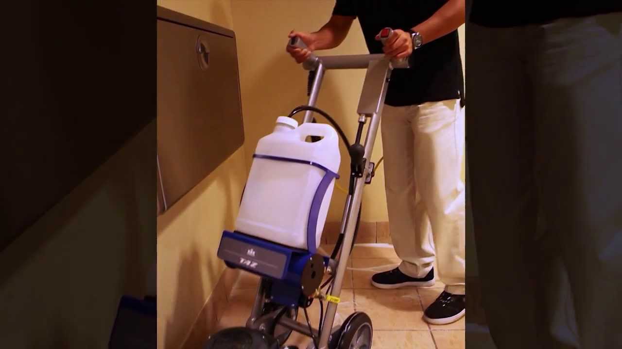 Windsor Taz - YouTube