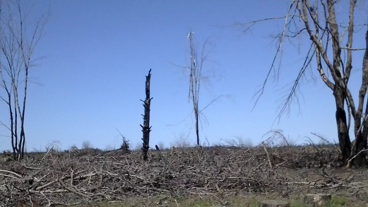 Duck Lake Fire: 3 years later - YouTube