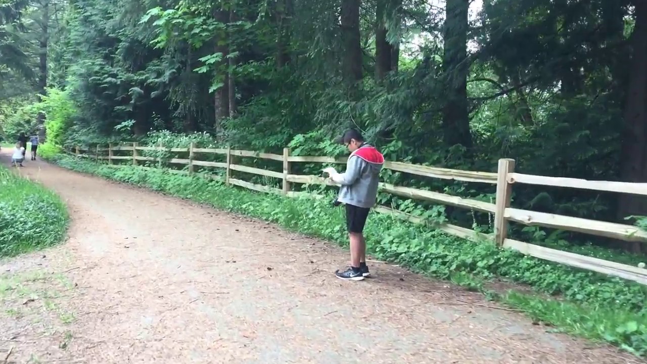 Godwin Park 10 - YouTube