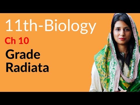 11th Class Biology, Ch 10 -Explain Grade Radiata - FSc Part 1 Biology ...