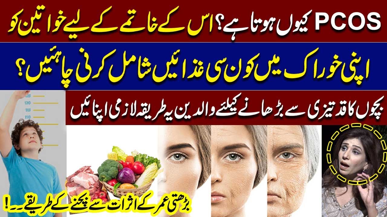Main Cause Of PCOS? | How can avoid getting PCOS? | How to Increase ...