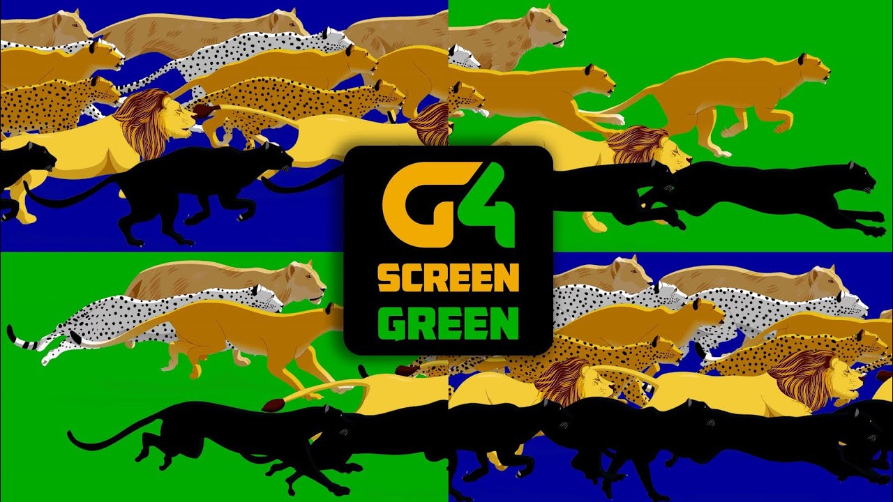 Animal Green Screen No Copyright | Wild Animal Stampede Run Greenscreen ...