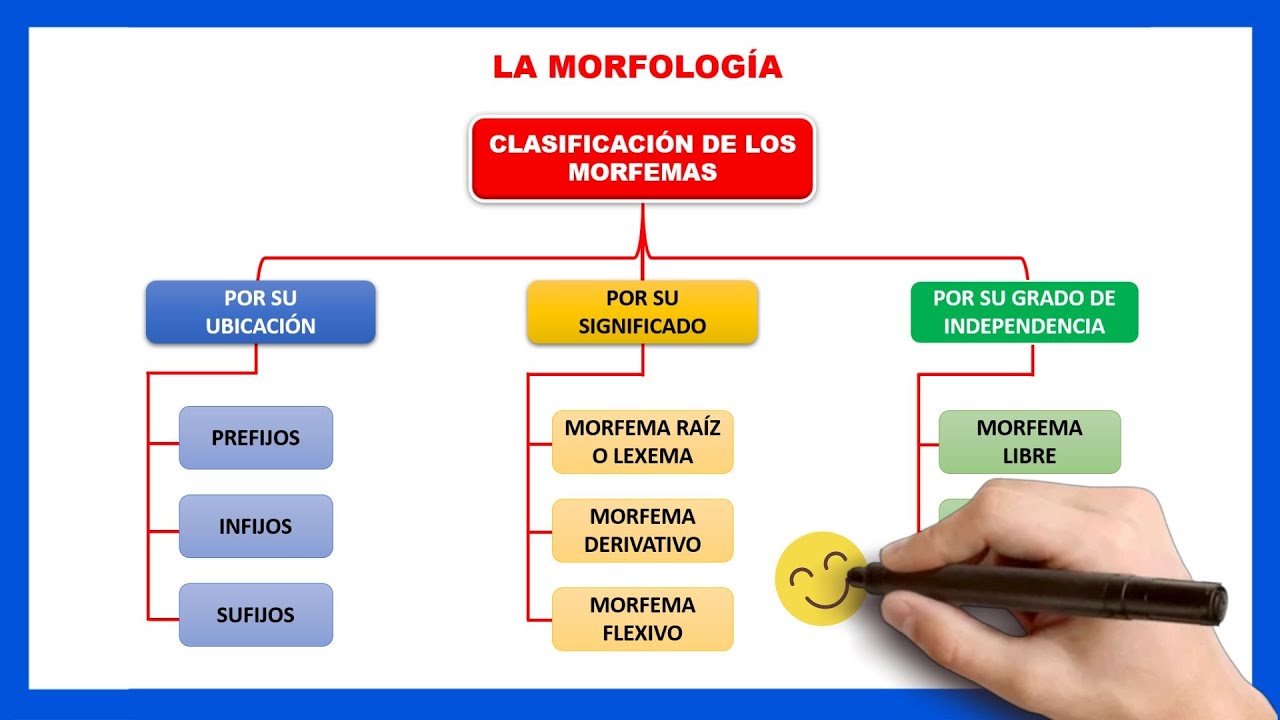 📘 Qué es la MORFOLOGÍA | Qué es un morfema y sus clases| Qué es un ...