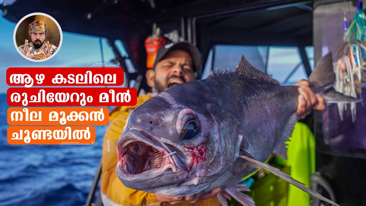 DEEP SEA FISHING/BLUENOSE/ALBACORE TUNA/GEM FISH/BEST FISHING VIDEO ...